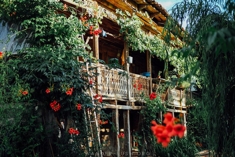 在Pankisi山谷要做的21件事:详细的旅行指南 - 必赢电子娱乐